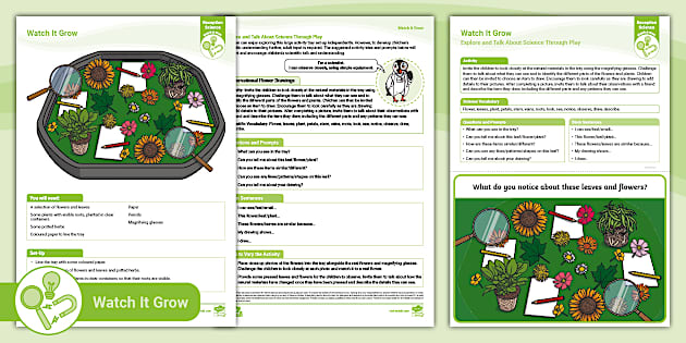 British Science Week- Change & Adapt - Twinkl