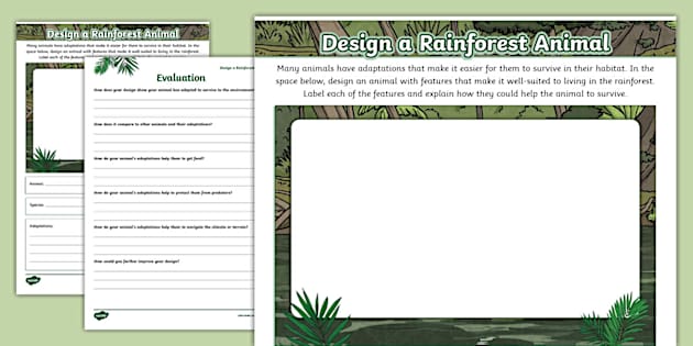 Design a Rainforest Animal Worksheet (teacher made) - Twinkl