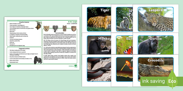 In the Jungle Prop Box Plan and Resource Pack - Twinkl