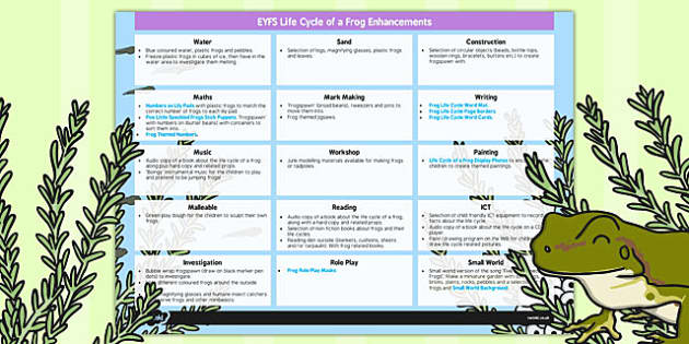 EYFS Life Cycle of a Frog Enhancement Ideas - Twinkl