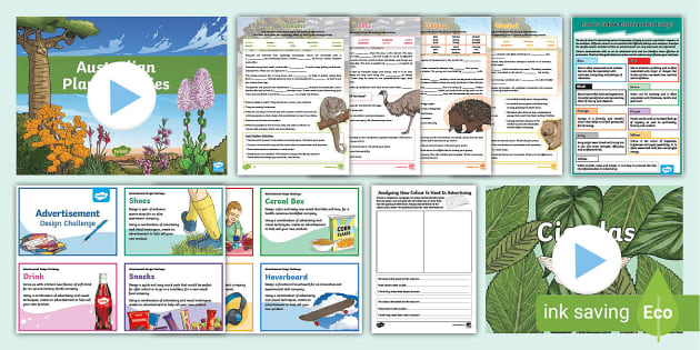 The Cycle of Life Wk 7-8 (teacher made) - Twinkl