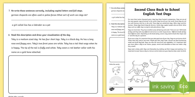 Back to School Second Class English Test (teacher made)