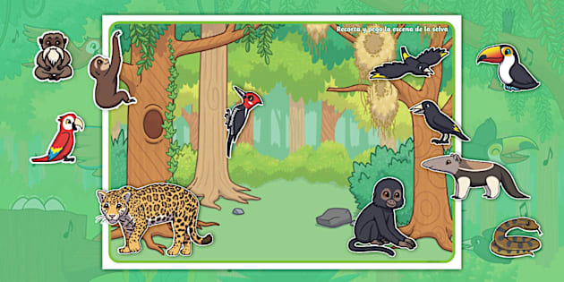 Actividad: Recorta y pega la escena de la selva - Twinkl