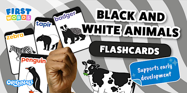 Originals First Words Flashcards: Black and White Animals