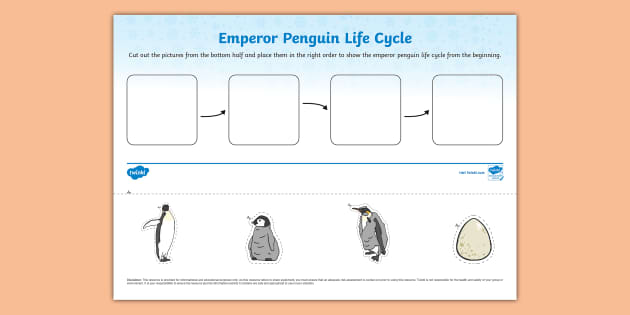 Emperor Penguin Life Cycle Worksheet - Twinkl