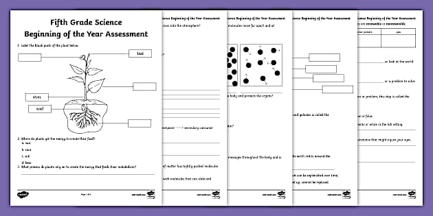 Fifth Grade Beginning of the Year Science Assessment