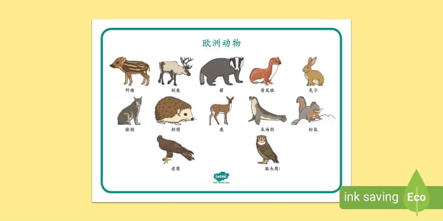 *Chinese version of European Animals Word Mat* - Twinkl