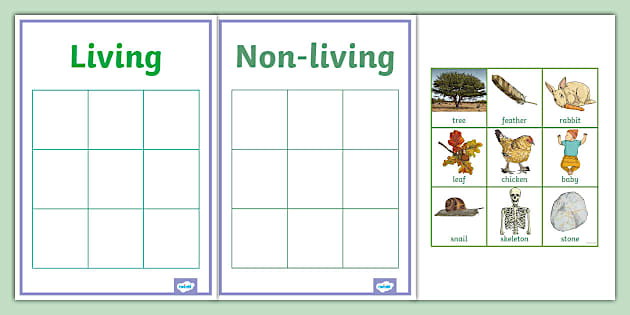 Living or Non-Living Sorting Activity Cards (teacher made)