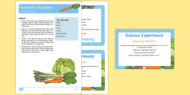 EYFS Regrowing Vegetables Science Experiment and Prompt Card Pack - carrot