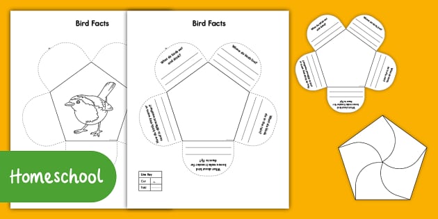 Basic Bird Facts Flower Foldable (teacher made) - Twinkl
