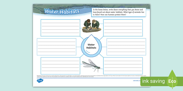 * NEW * Water Habitats Mind Map (Lehrer gemacht) - Twinkl