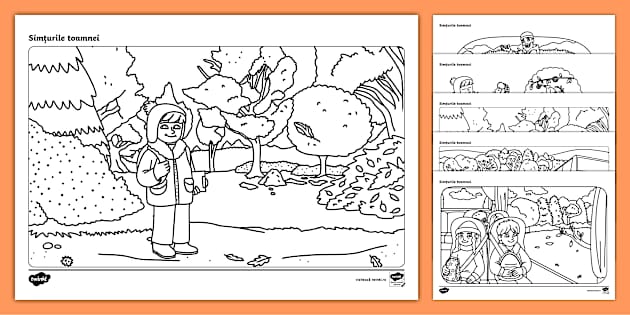 Simțurile toamnei – Desene de colorat - Twinkl