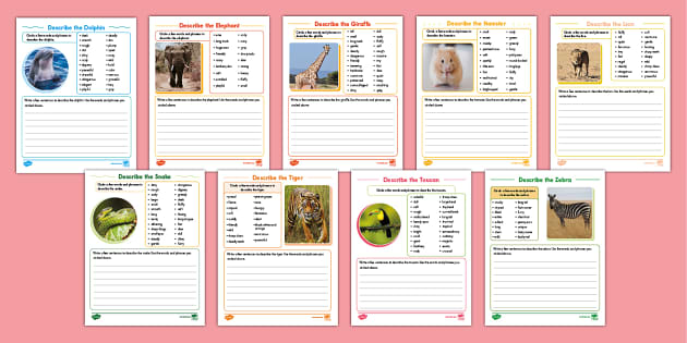 Describe the Animal Pack (teacher made)