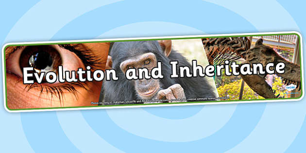 Evolution and Inheritance Display | Photo Banner
