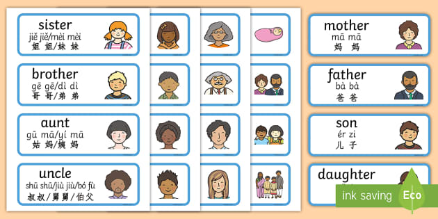 My Family Word Cards English/Mandarin Chinese/Pinyin - My Family Word Cards