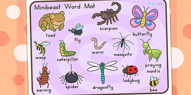 Minibeasts Cute Word Mat (teacher made) - Twinkl