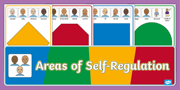 Twinkl Symbols: Areas of Self-Regulation Display Pack