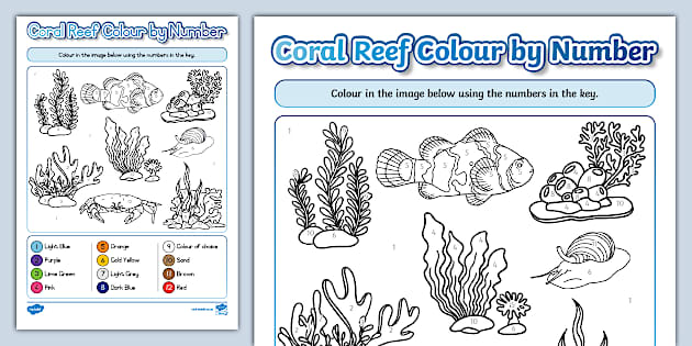Foundation Phase - Life Skills Creative Arts - Coral Reef Colour by ...
