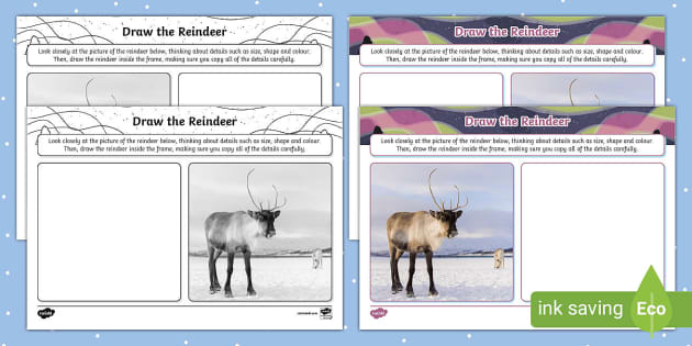 Draw a Reindeer Worksheet (teacher made) - Twinkl