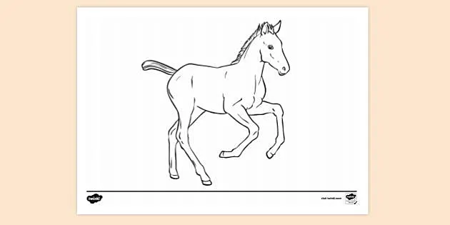 How To Draw A Horse Rearing Step By Step