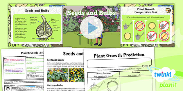 Science: Plants: Seeds and Bulbs Year 2 Lesson Pack 2