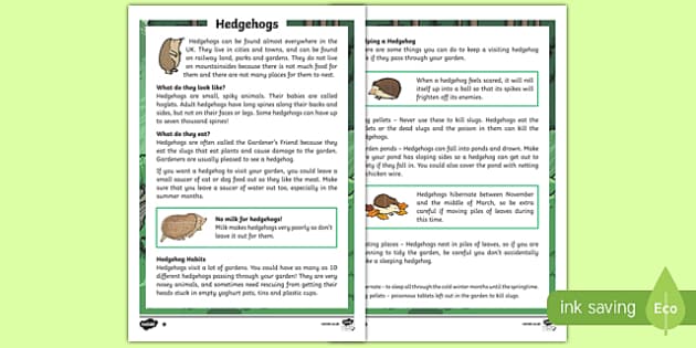 Hedgehog Awareness Week