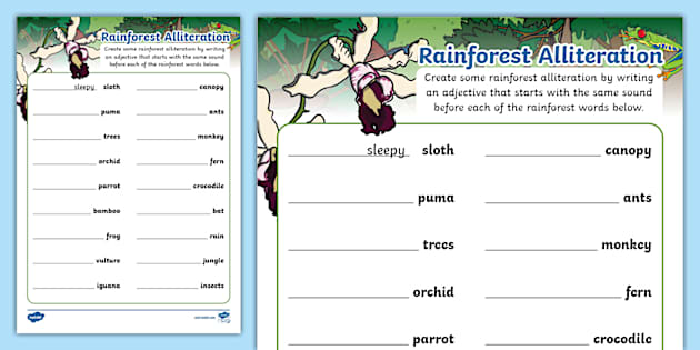 Rainforest Adjectives: Alliteration Worksheet (teacher made)