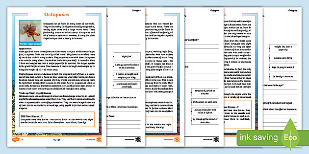 FREE! - Octopus Reading Comprehension Activity | Twinkl