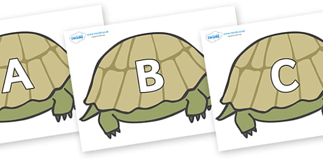A-Z Alphabet on Tortoises (teacher made) - Twinkl