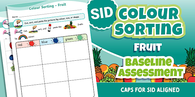 Foundation Phase - Problem Solving - Colour Sorting - Baseline Assessment