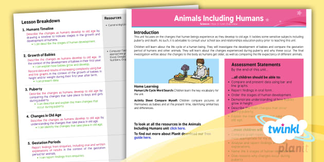 FREE! - Science: Animals Including Humans Year 5 Planning Overview