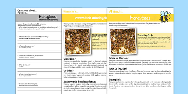 Honeybee Reading Comprehension English/Polish (teacher made)