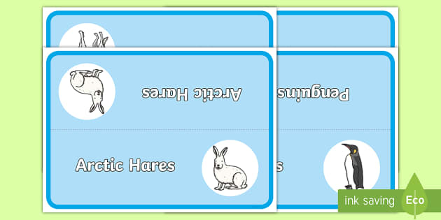 FREE! - Polar Animals Group Table Signs (teacher made)