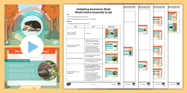 Hedgehog Awareness Week Whole School Assembly Pack - Twinkl