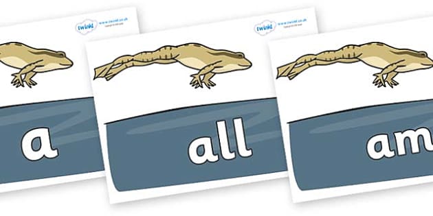 Foundation Stage 2 Keywords on Frog (teacher made) - Twinkl