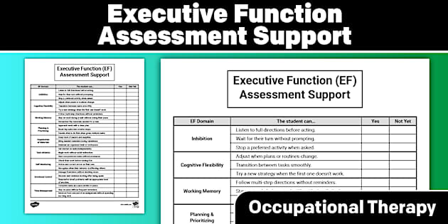 Executive Function Assessment Support Observation Checklist for ...