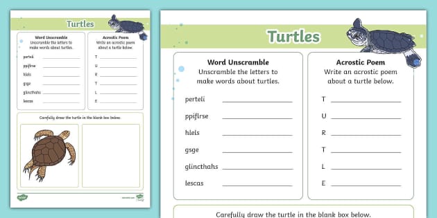 Turtles Boredom Buster Worksheet - KS1 (teacher made)