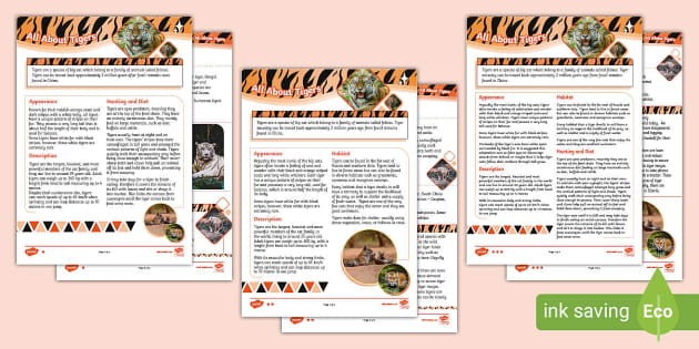 UKS2 All About Tigers Differentiated Reading Comprehension Activity