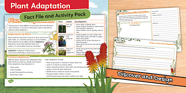 KS2 Plant Adaptation Fact File and Activity Pack - Twinkl
