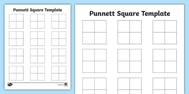 Blank Punnett Square Template teacher Made Twinkl