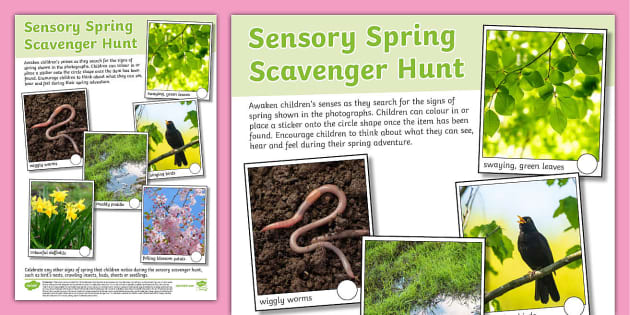 Sensory Spring Scavenger Hunt | Twinkl (creat de profesori)