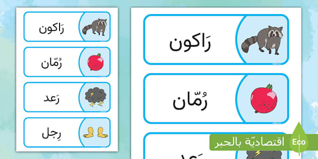 بطاقات مفردات قصة حرف الراء الراكون الخائف