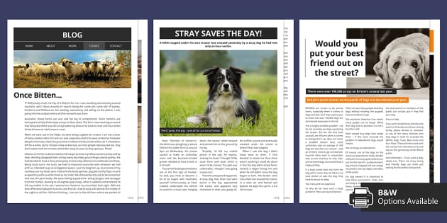 Beyond Secondary Resources - Non-fiction Texts Pack