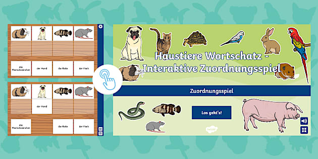 Haustiere Wortschatz - Interaktive Zuordnungsspiel - Twinkl