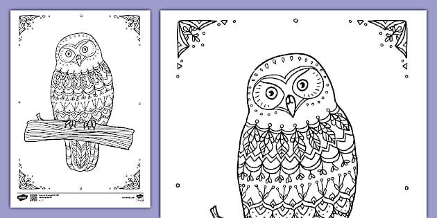Morepork Owl Mindfulness Colouring Page (teacher made)