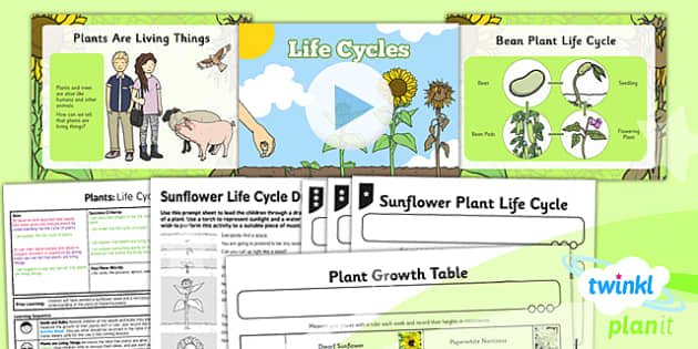 Science: Plants: Life Cycles Year 2 Lesson Pack 3