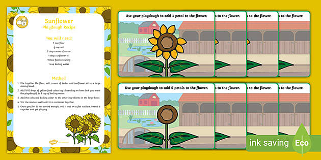13 Sunflower Activities to Brighten Your Day - Twinkl