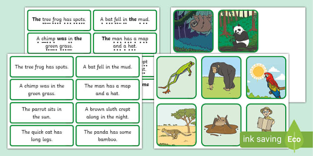 In the Jungle Simple Sentence Matching Activity