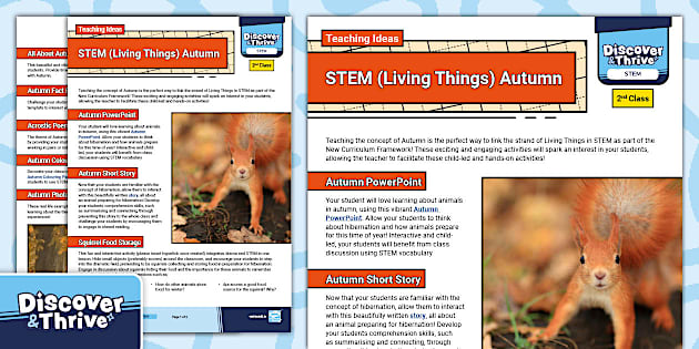 Autumn Squirrel Food Storage Lesson (teacher made) - Twinkl