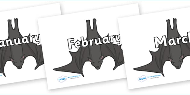 Months of the Year on Bats (teacher made) - Twinkl